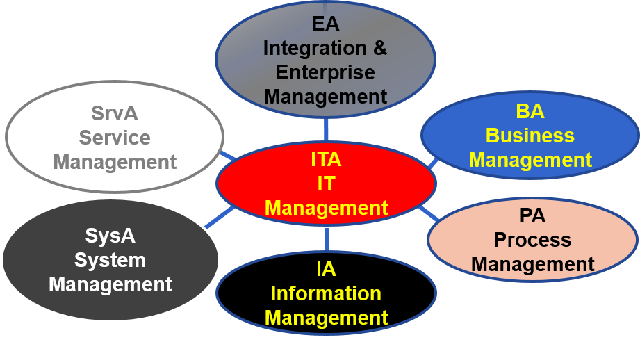 IT Management – Standard Business