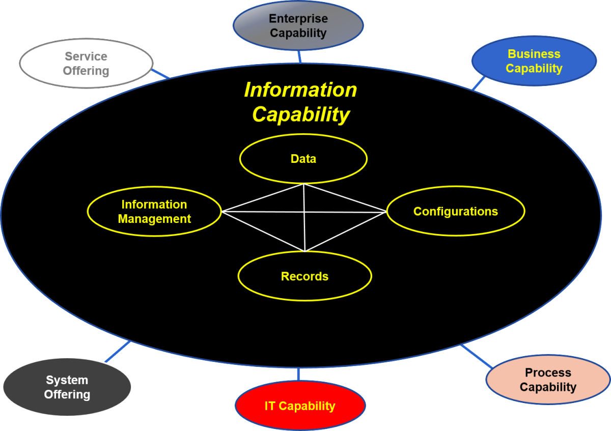 Information Capability System – Standard Business