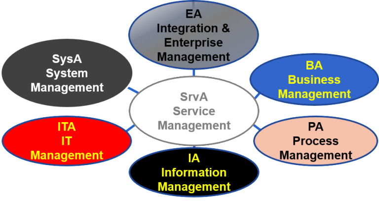 Service Management – Standard Business