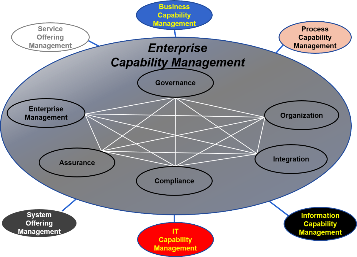 Enterprise Capability Management – Standard Business