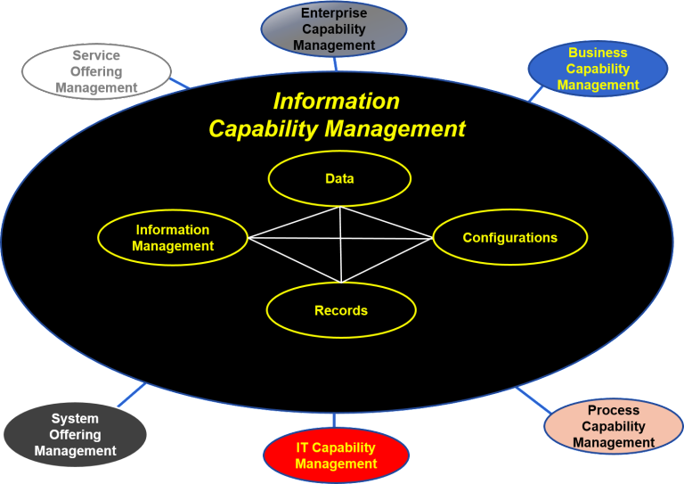 Information Capability Management – Standard Business